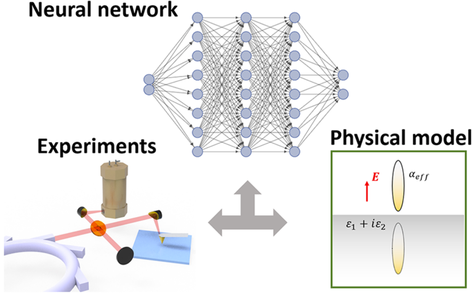 Hybrid Machine Learning For Scanning Near Field Optical Spectroscopy